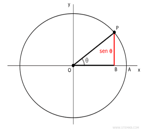 Understanding the Sine Function in Trigonometry - Andrea Minini
